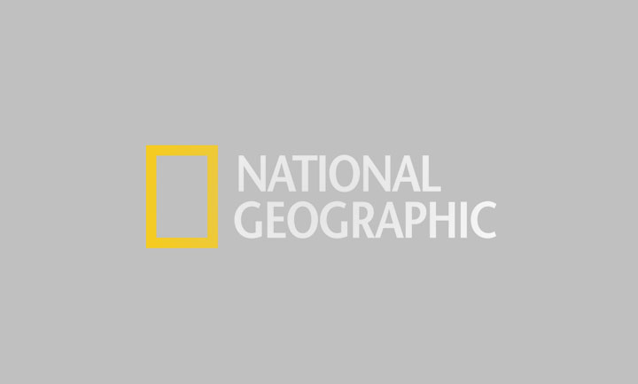 National Geographic feature article on the brain and the link between ...